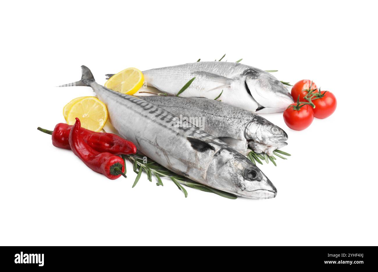 Sea food. Different types of fresh fish with spices and tomatoes ...