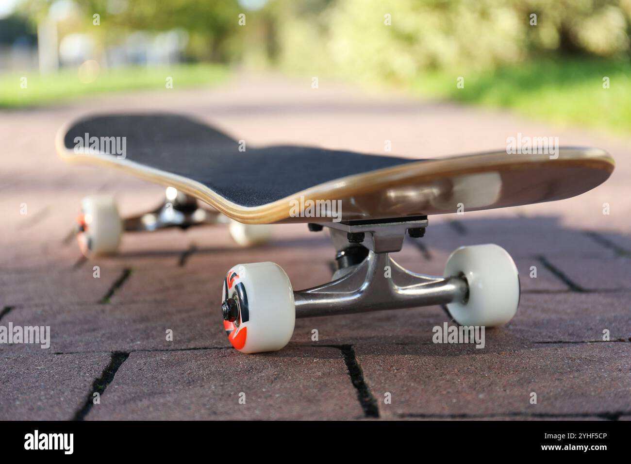One modern skateboard on paved pathway outdoors, closeup Stock Photo ...