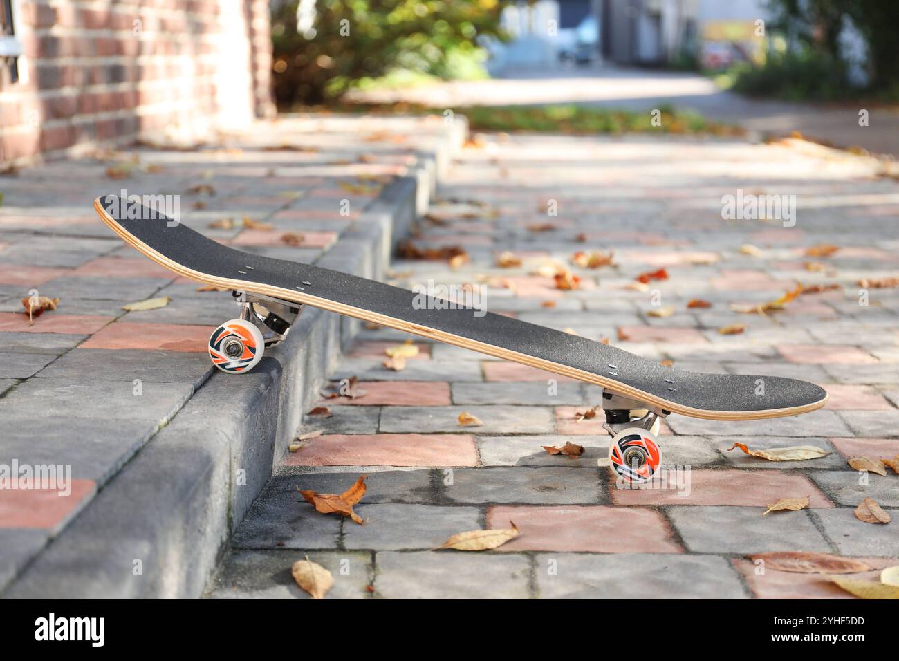 One modern skateboard on paved pathway outdoors Stock Photo - Alamy
