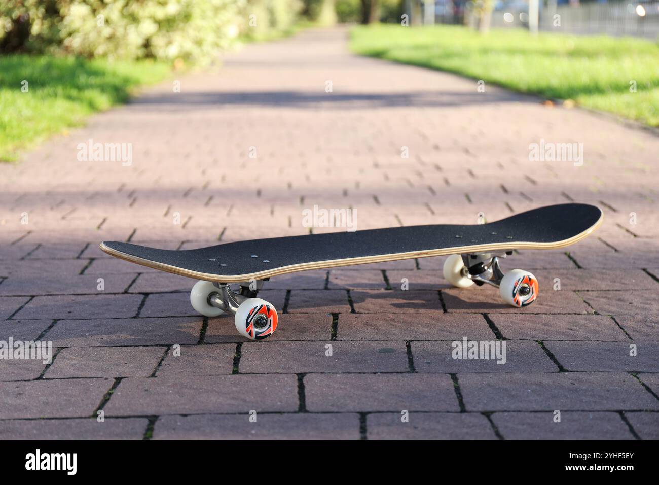 One modern skateboard on paved pathway outdoors Stock Photo - Alamy