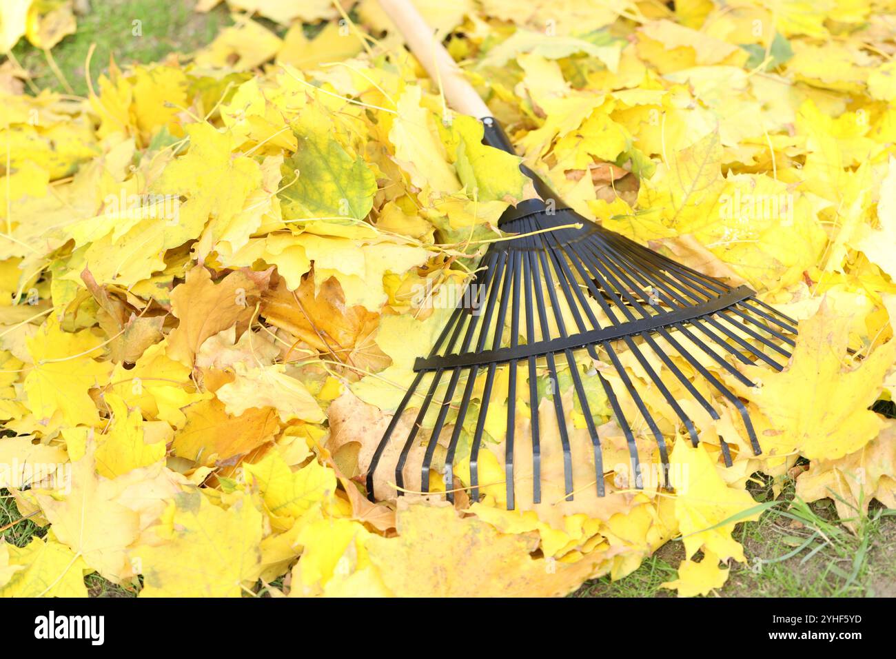 Gathering fallen leaves fan hi-res stock photography and images - Alamy