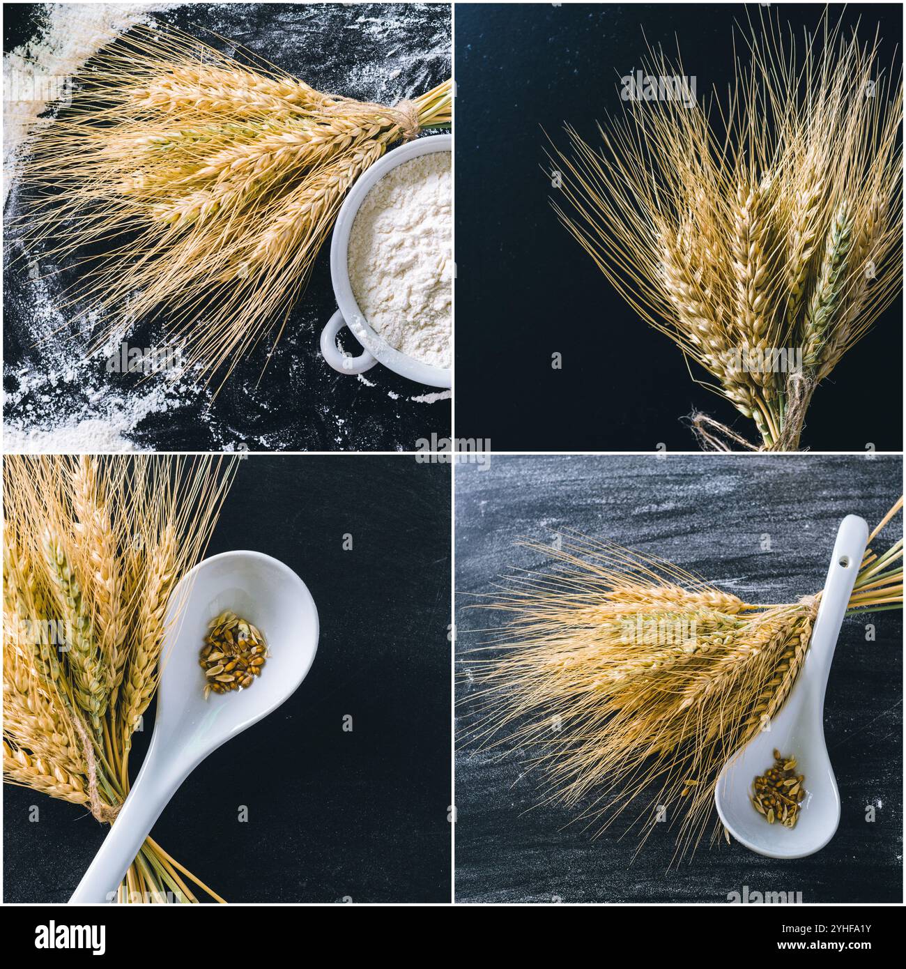 Wheat transformation hi-res stock photography and images - Alamy
