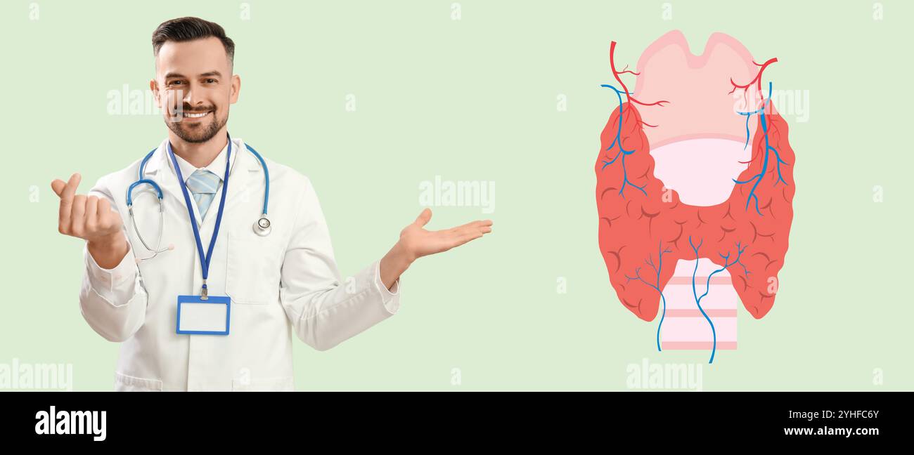 Male endocrinologist and drawn thyroid gland on green background Stock ...