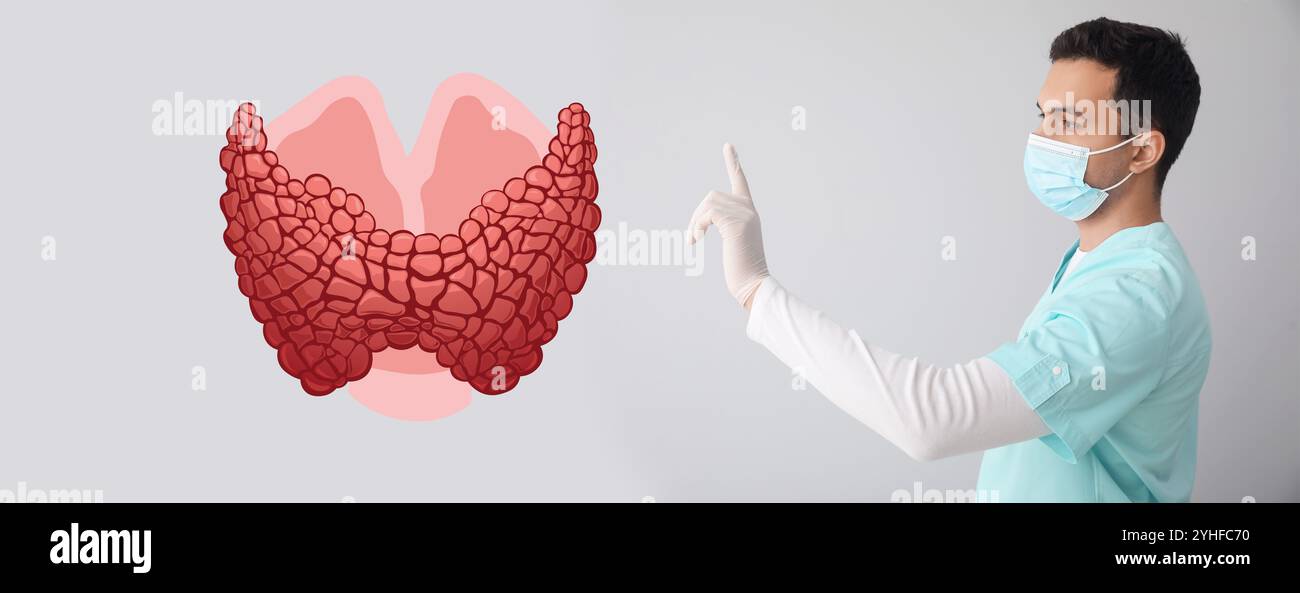 Male endocrinologist and drawn thyroid gland on light background Stock ...