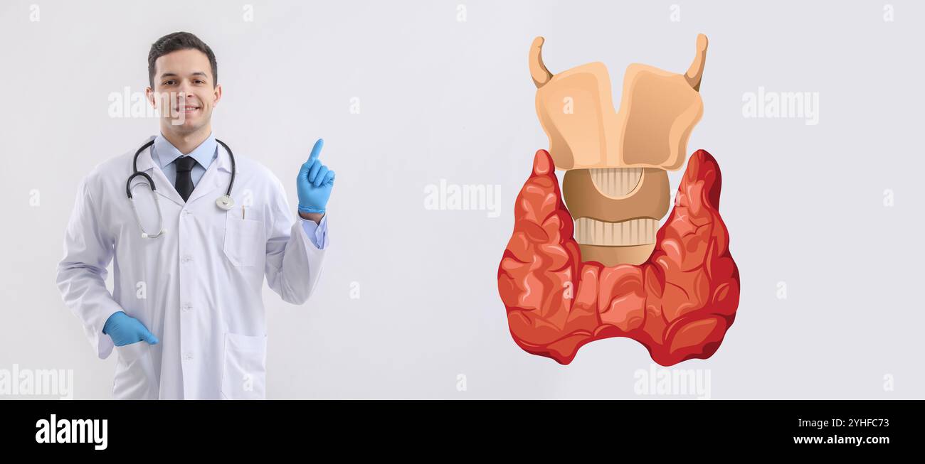 Male endocrinologist and drawn thyroid gland on light background Stock ...