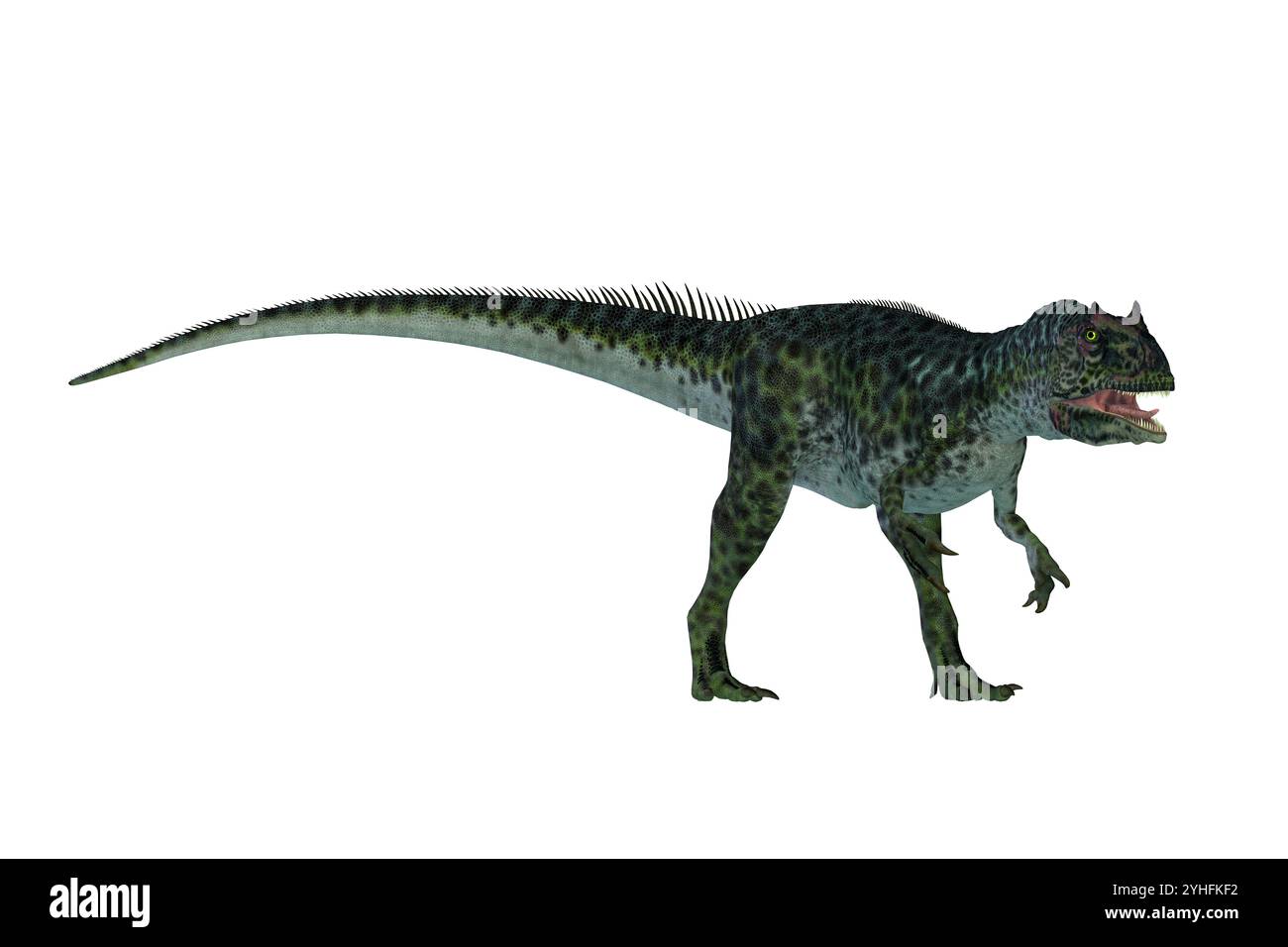 Jurassic morrison formation hi-res stock photography and images - Alamy