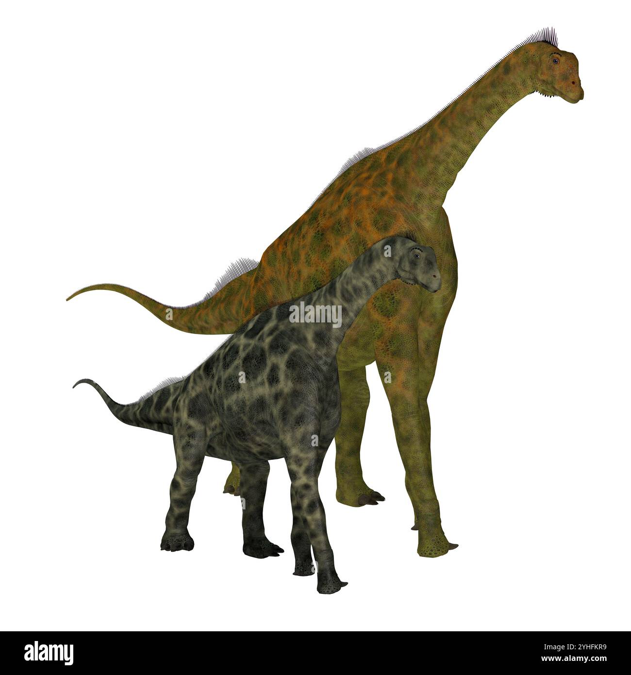 Atlasaurus was a herbivorous sauropod dinosaur that lived in Morocco ...
