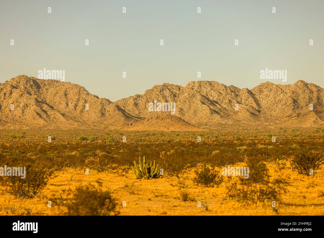 Gran desierto de altar biosphere reserve hi-res stock photography and ...