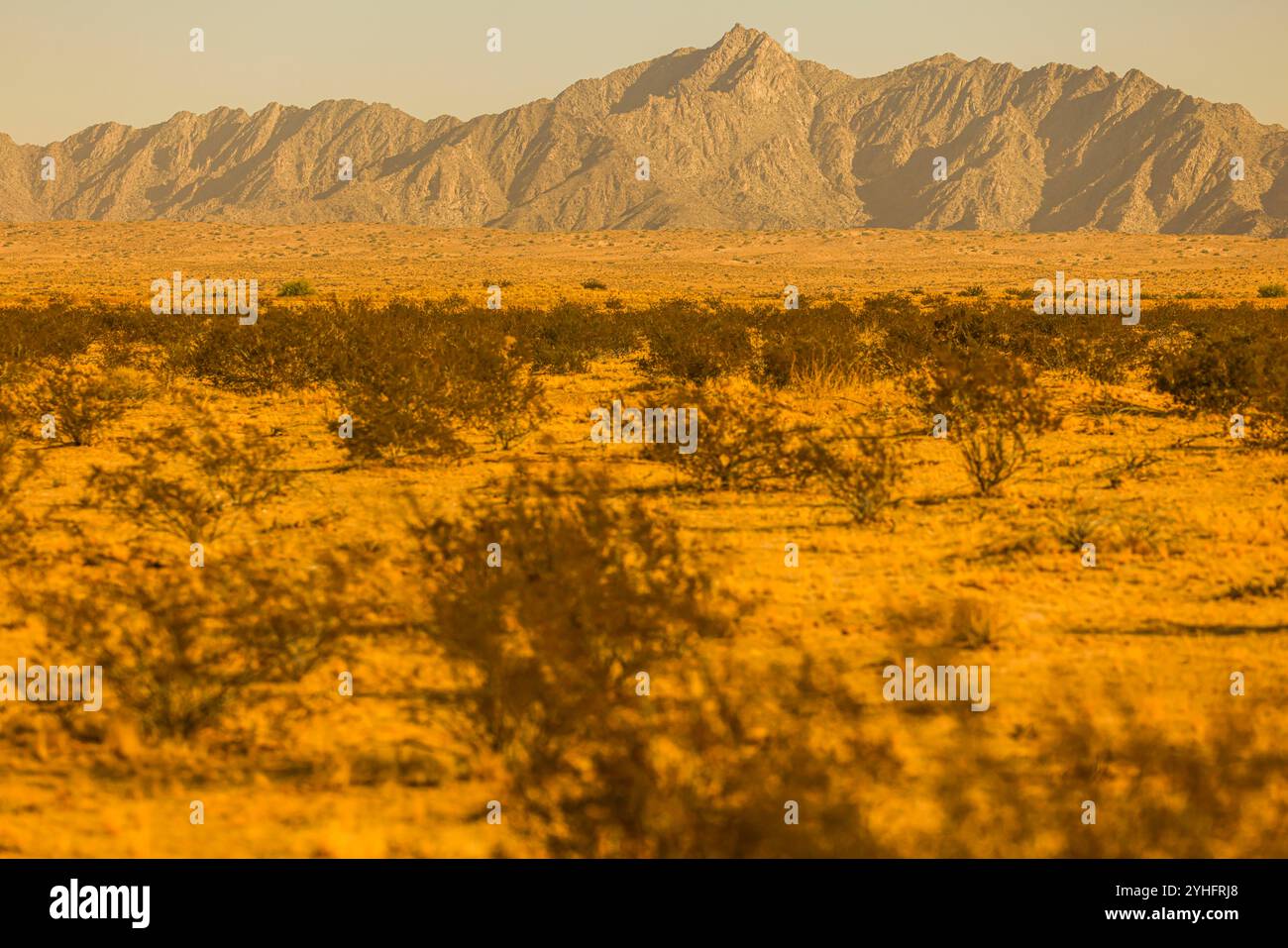 Sonoran Desert, El Pinacate Biosphere Reserve and the Great Altar ...