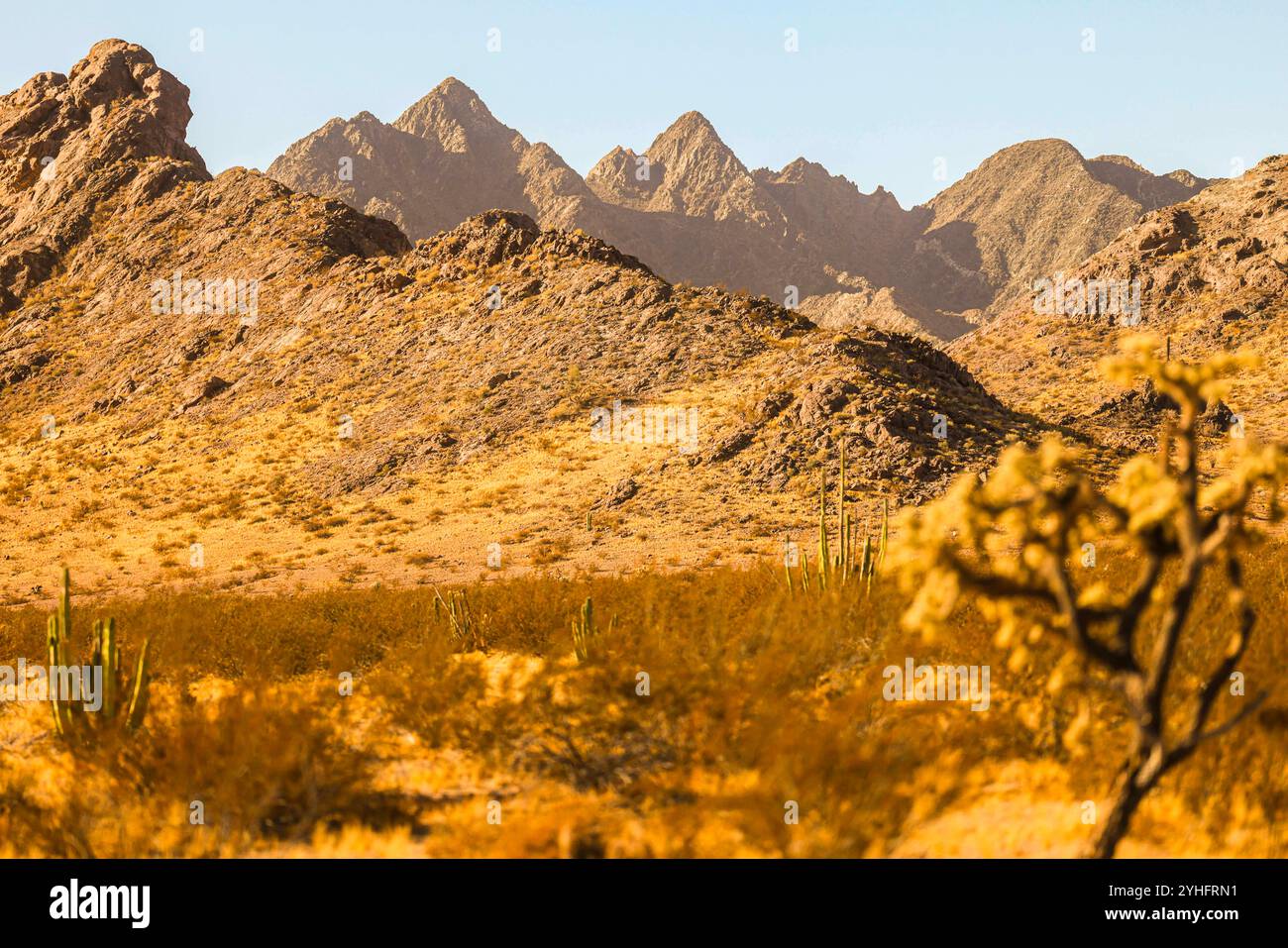 Sonoran Desert, El Pinacate Biosphere Reserve and the Great Altar ...