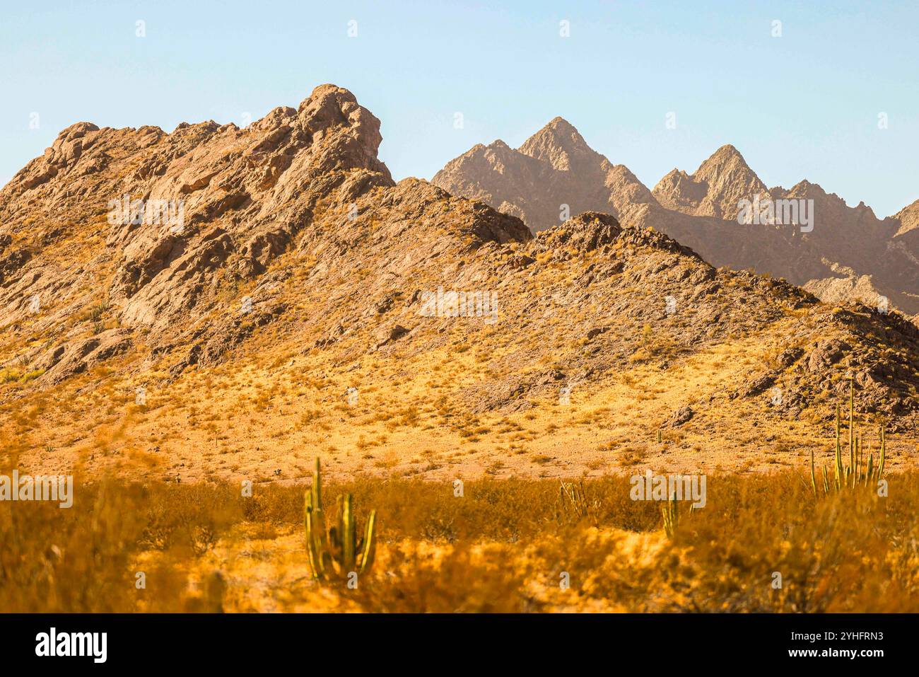 Sonoran Desert, El Pinacate Biosphere Reserve and the Great Altar ...