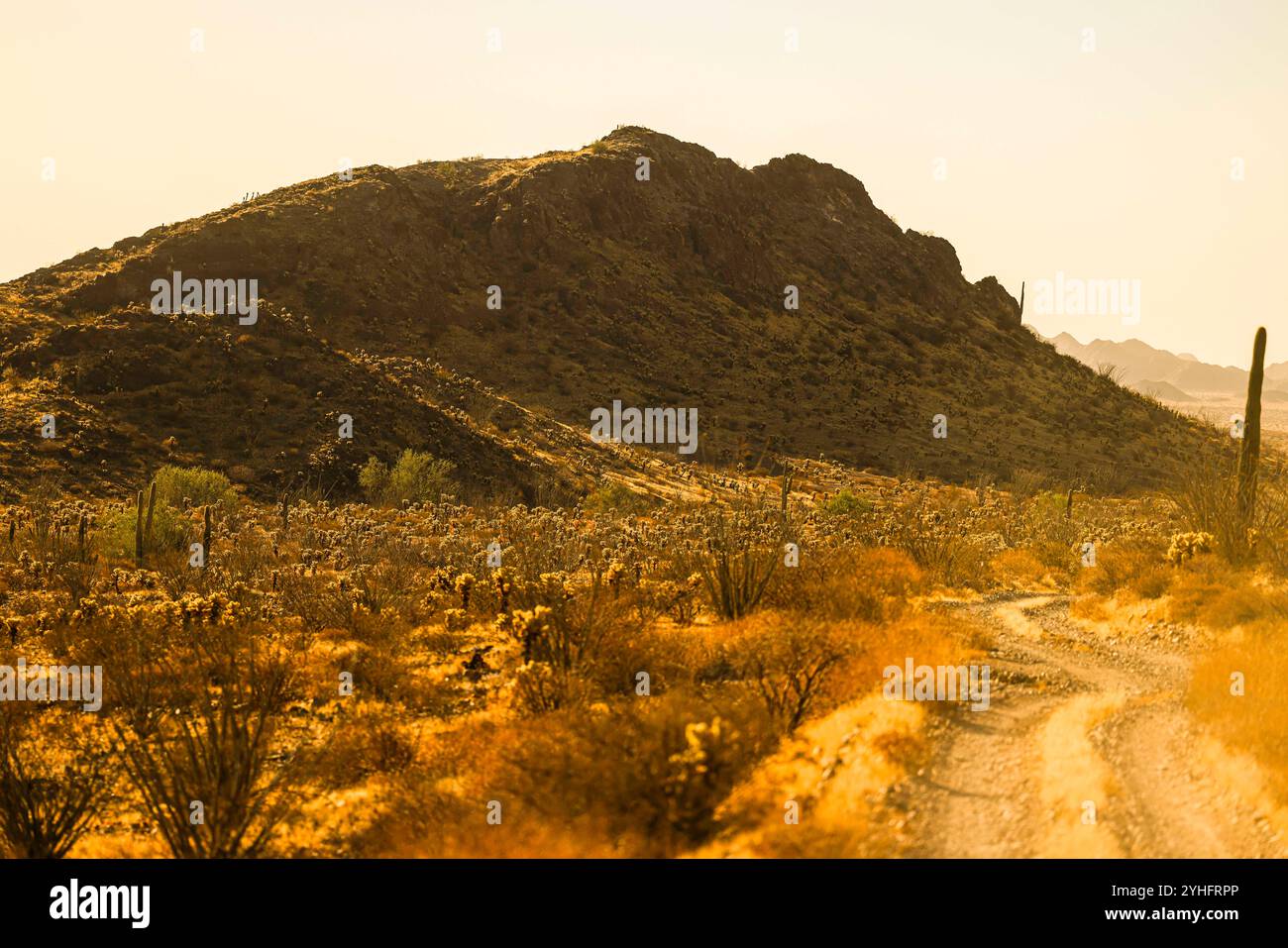 Sonoran Desert, El Pinacate Biosphere Reserve and the Great Altar ...