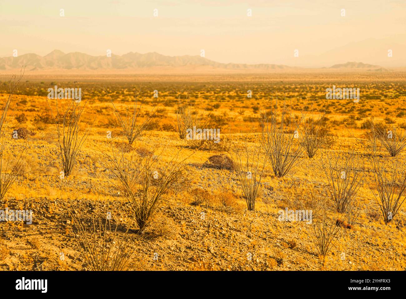 Sonoran Desert, El Pinacate Biosphere Reserve and the Great Altar ...