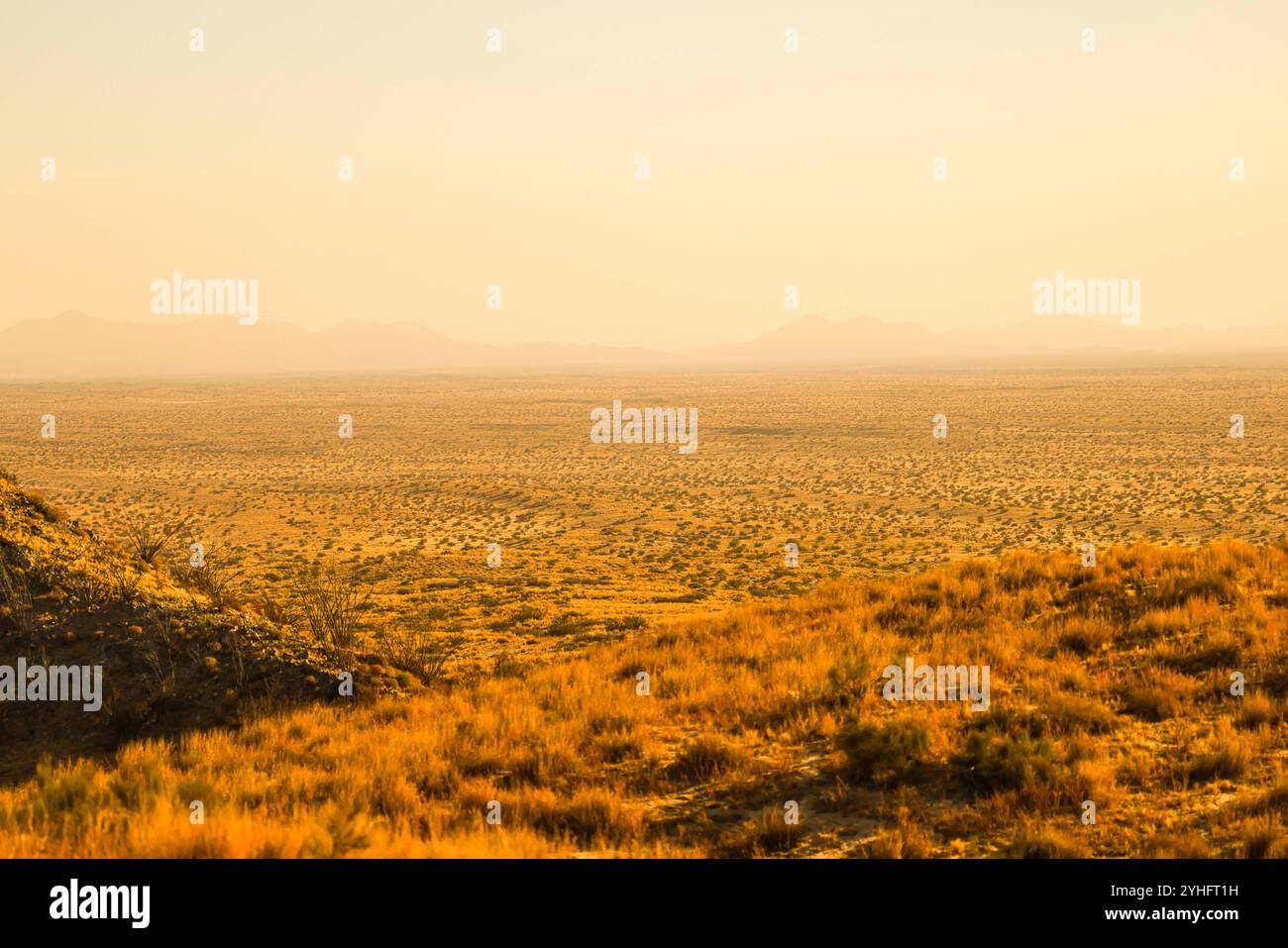 Sonoran Desert, El Pinacate Biosphere Reserve and the Great Altar ...