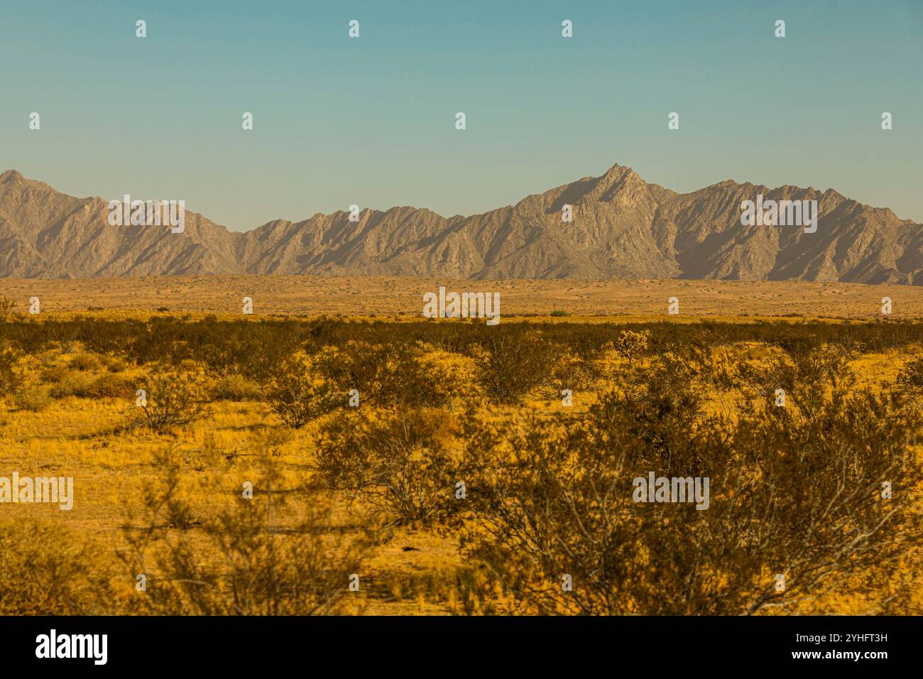 Sonoran Desert, El Pinacate Biosphere Reserve and the Great Altar ...