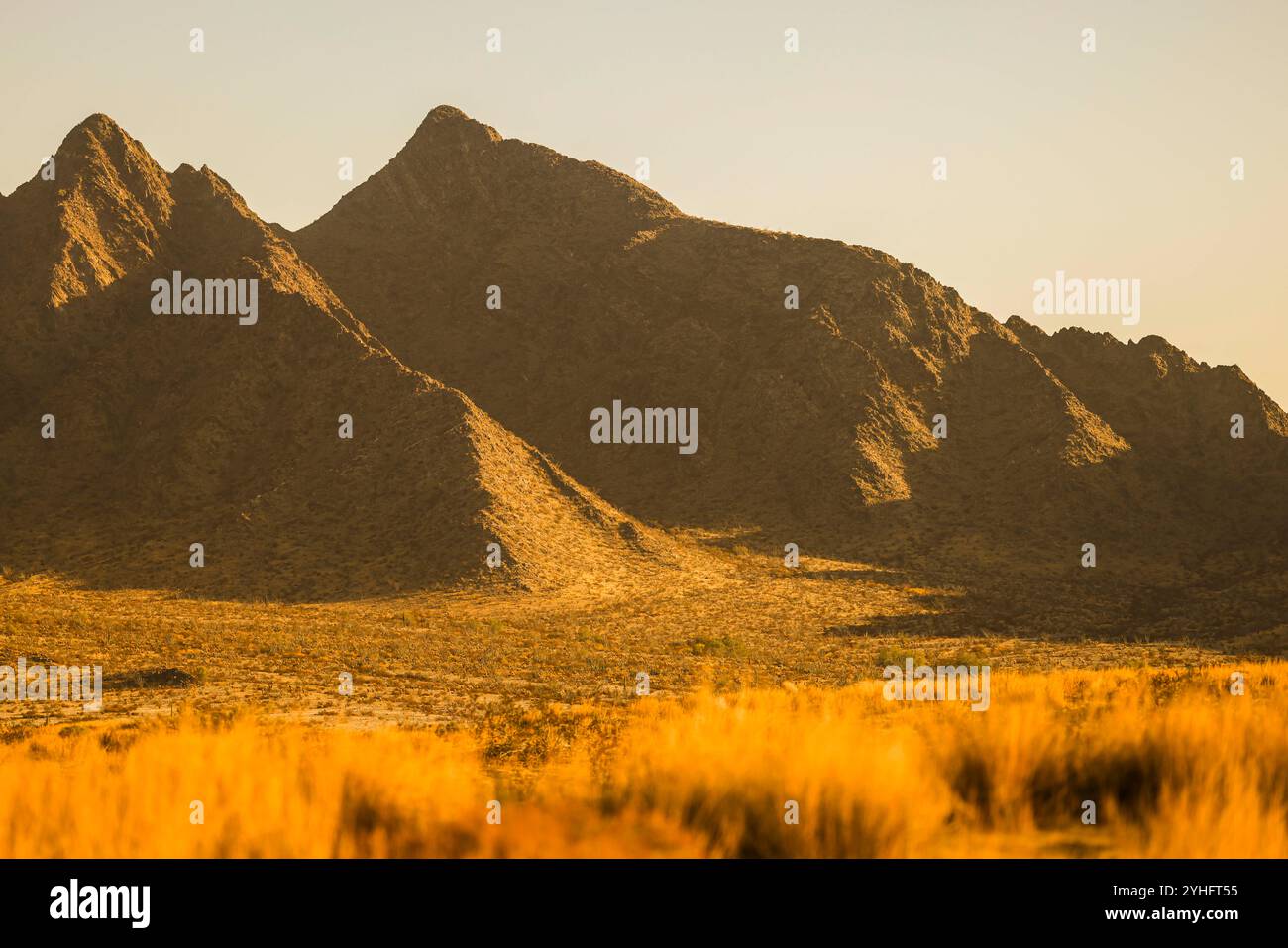 Sonoran Desert, El Pinacate Biosphere Reserve and the Great Altar ...