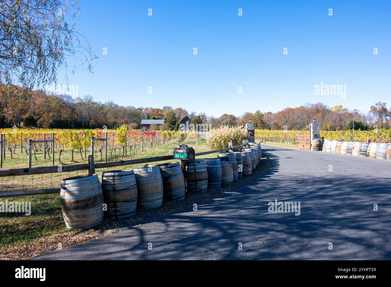 Large barrels line the entrance to Great Frogs Winery & Vineyard in ...