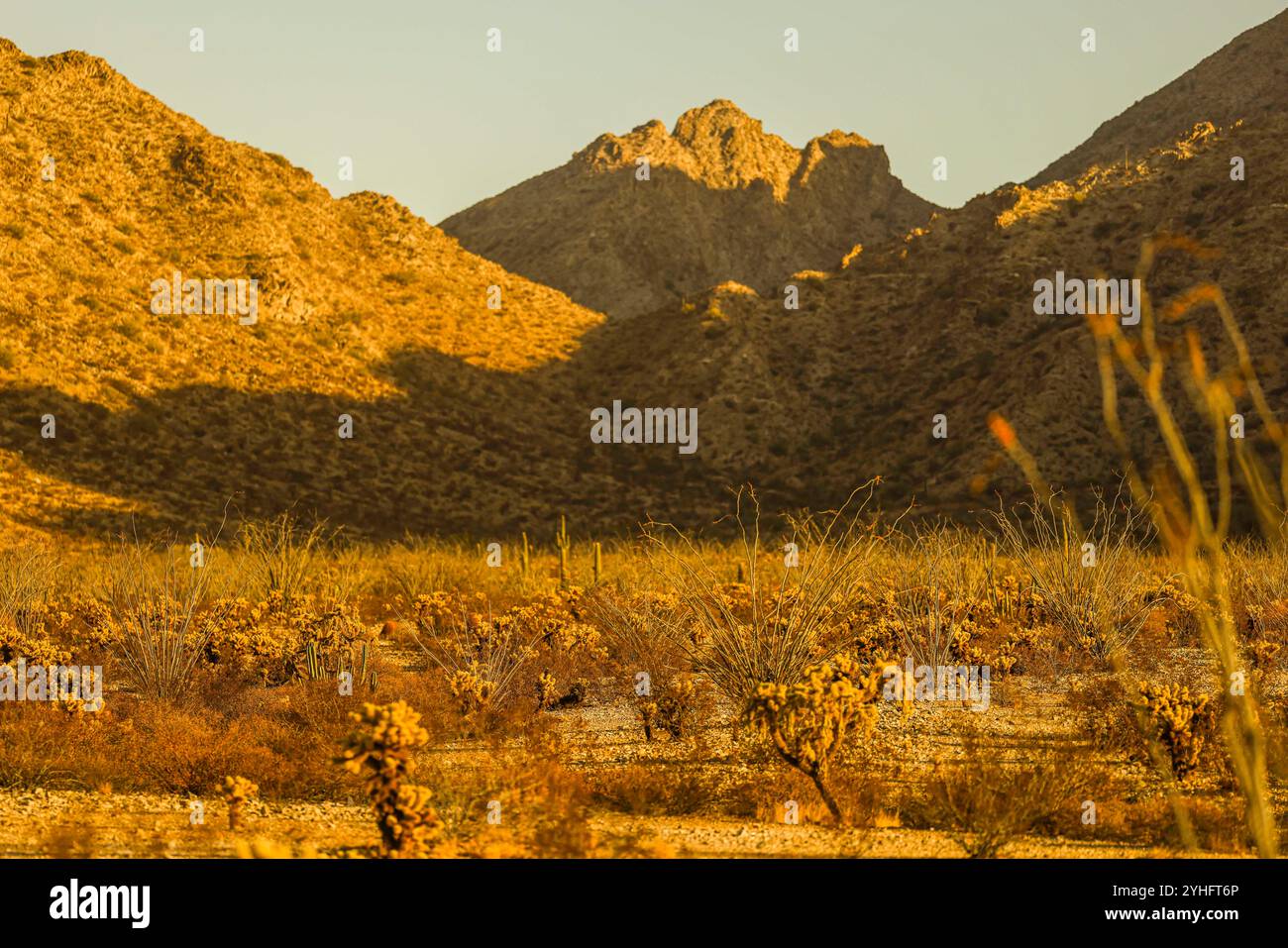 Sonoran Desert, El Pinacate Biosphere Reserve and the Great Altar ...