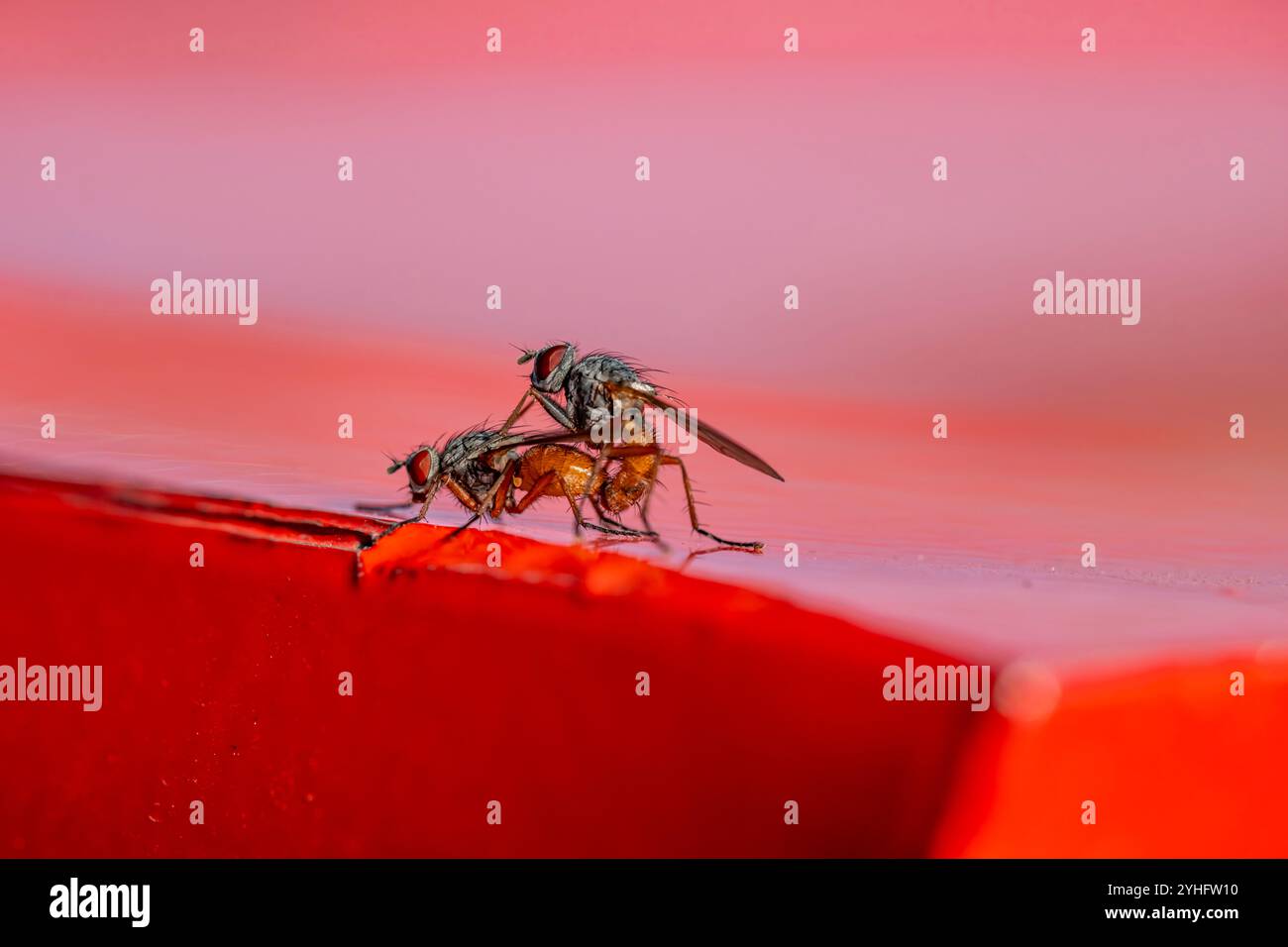 Colorful water movements hi-res stock photography and images - Alamy