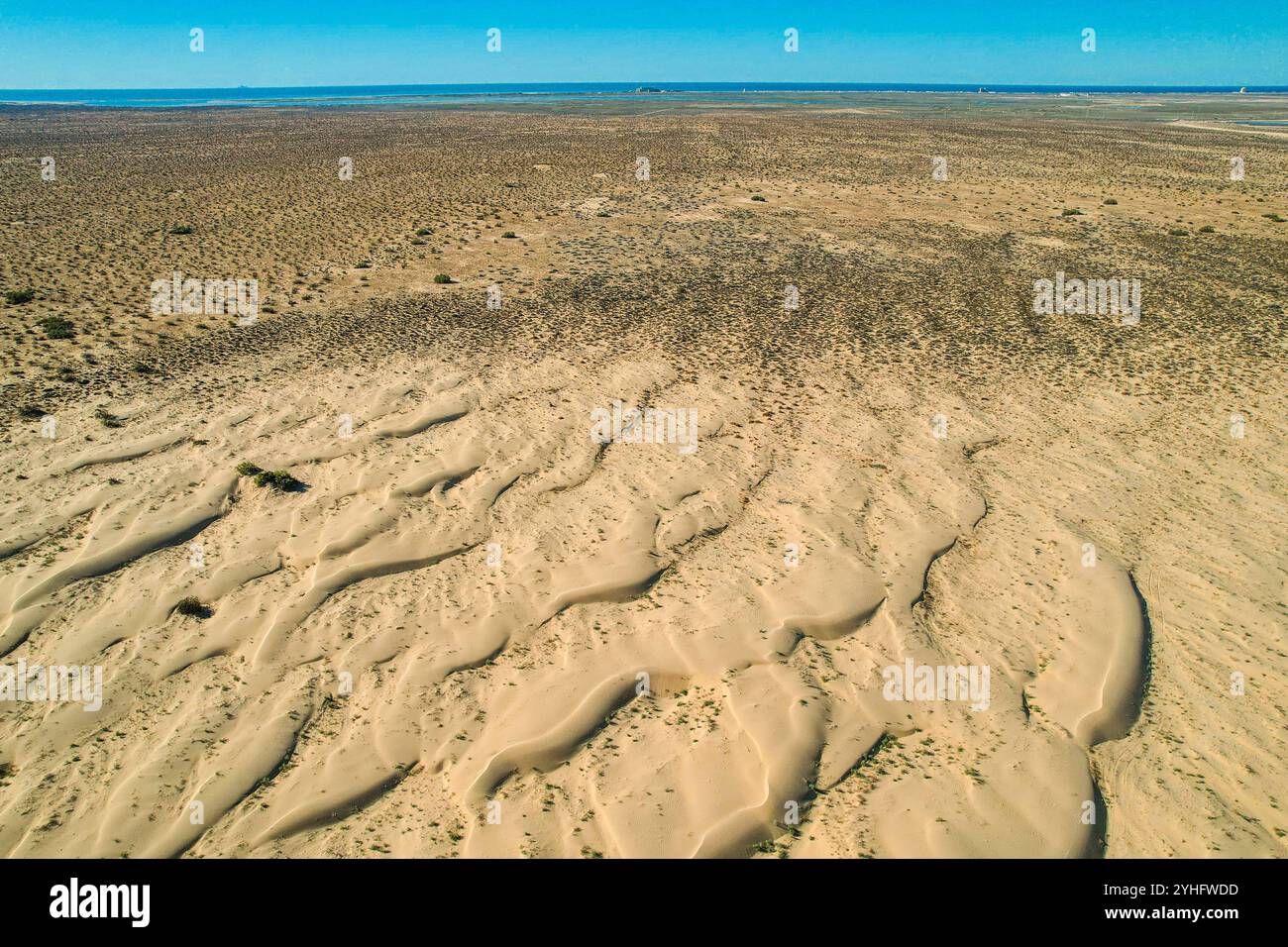 Sonoran Desert, El Pinacate Biosphere Reserve and the Great Altar ...