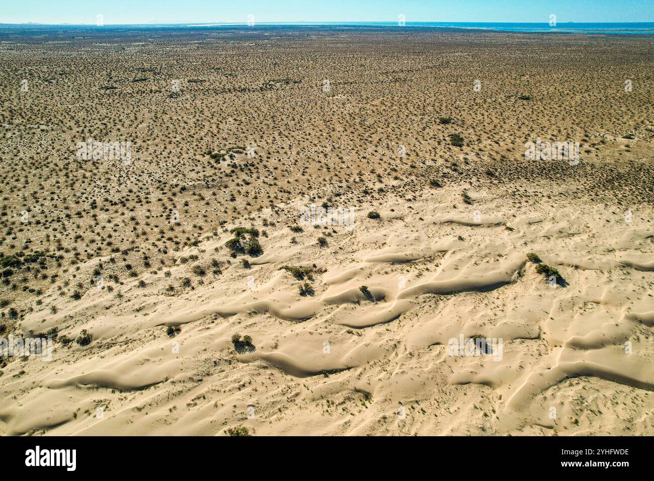 Sonoran Desert, El Pinacate Biosphere Reserve and the Great Altar ...