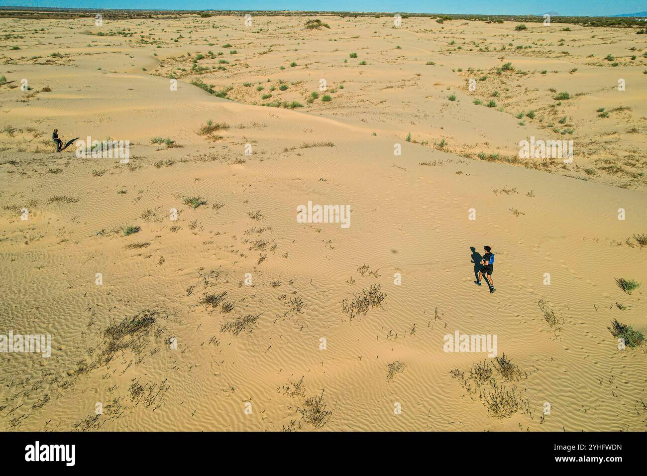 Sonoran Desert, El Pinacate Biosphere Reserve and the Great Altar ...