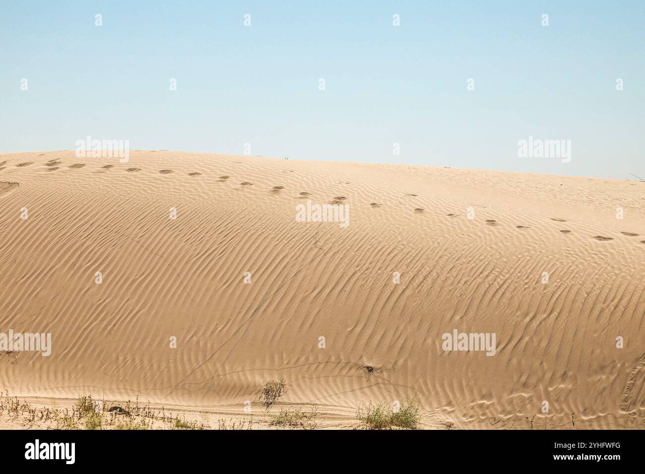 Sonoran Desert, El Pinacate Biosphere Reserve and the Great Altar ...