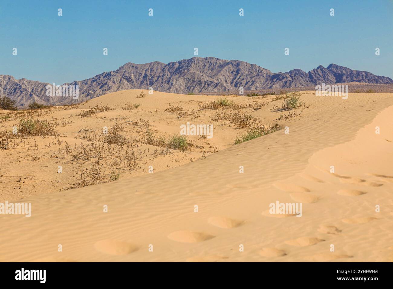 Sonoran Desert, El Pinacate Biosphere Reserve and the Great Altar ...