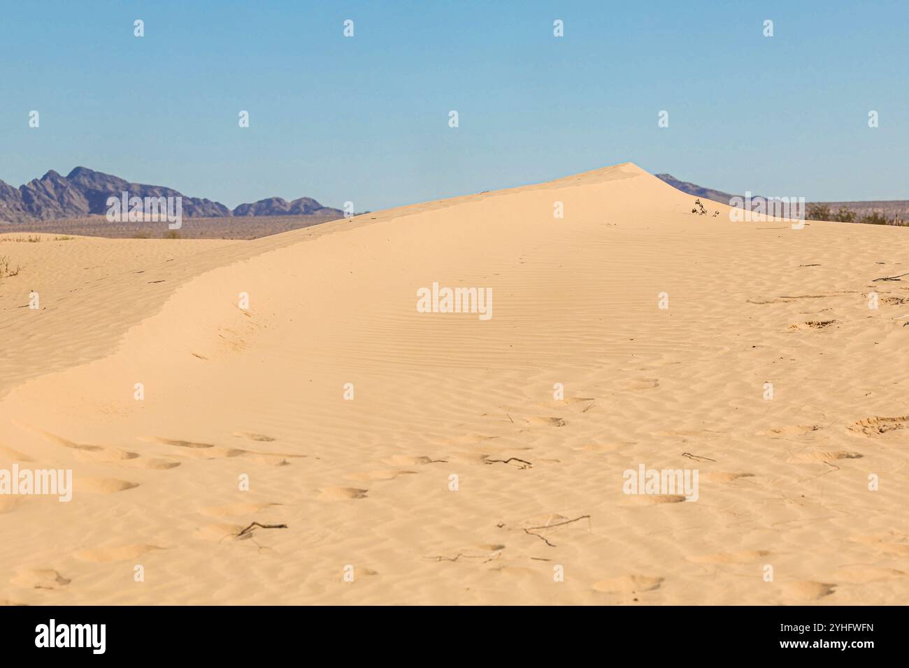Sonoran Desert, El Pinacate Biosphere Reserve and the Great Altar ...