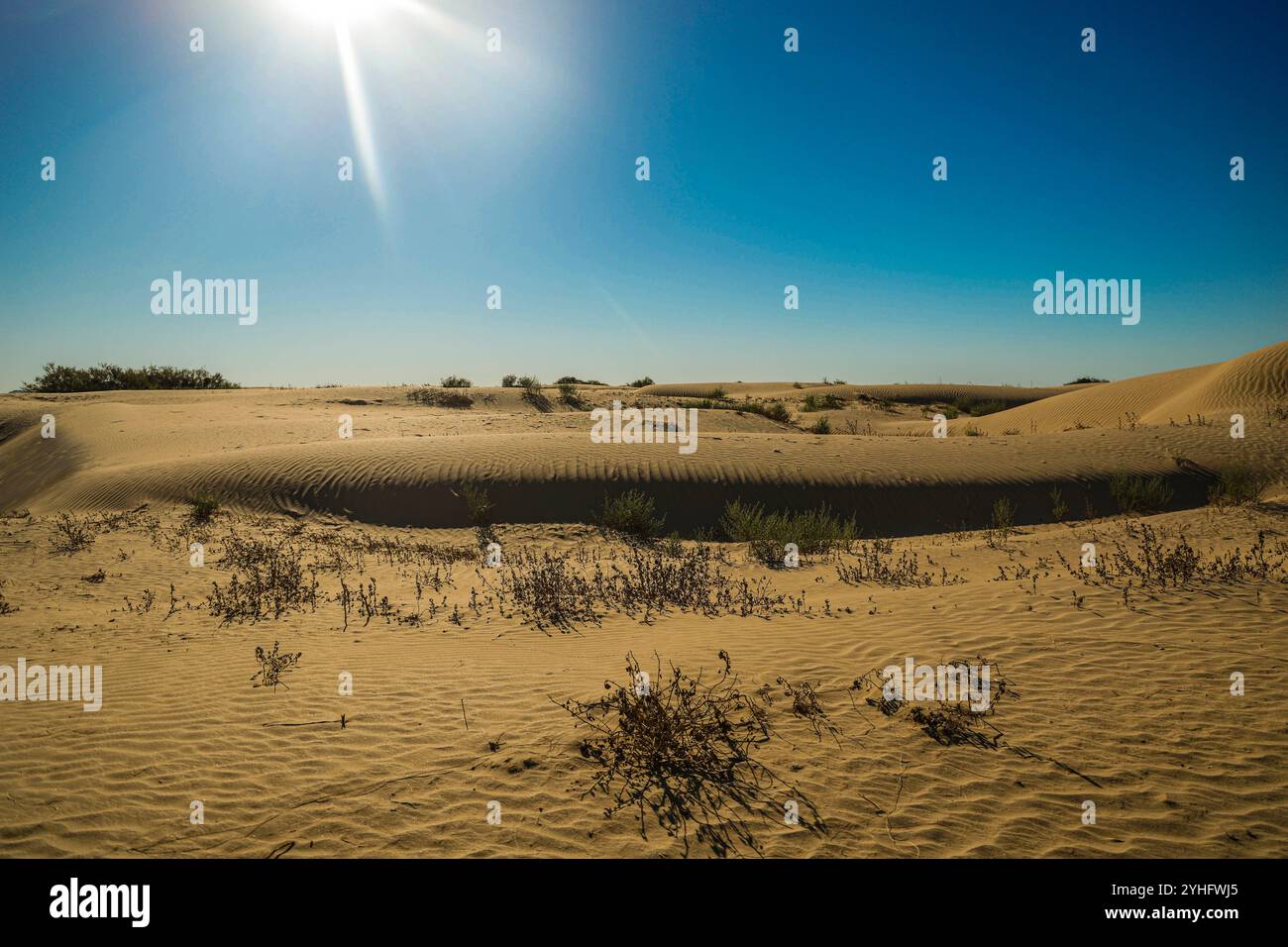 Sonoran Desert, El Pinacate Biosphere Reserve and the Great Altar ...