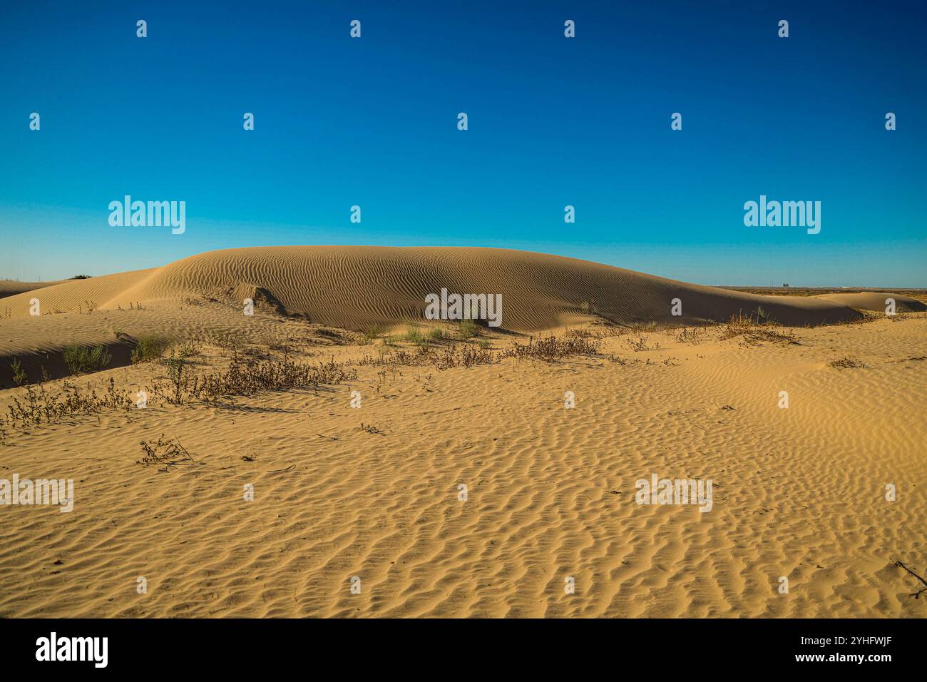 Sonoran Desert, El Pinacate Biosphere Reserve and the Great Altar ...
