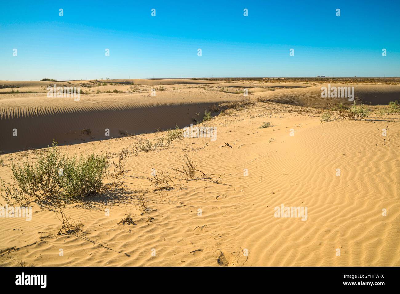 Sonoran Desert, El Pinacate Biosphere Reserve and the Great Altar ...