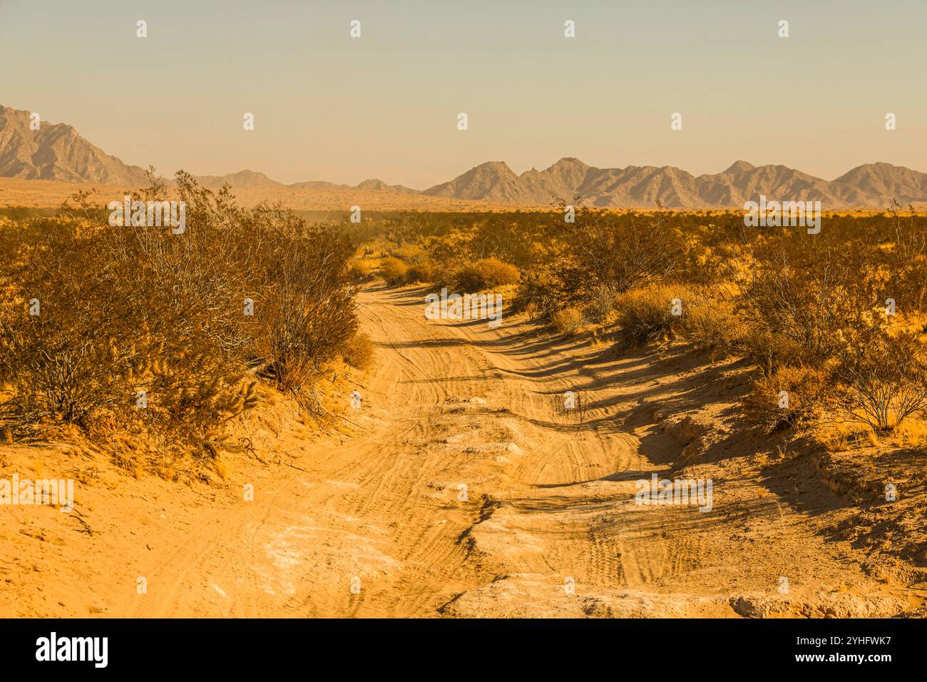 Sonoran Desert, El Pinacate Biosphere Reserve and the Great Altar ...