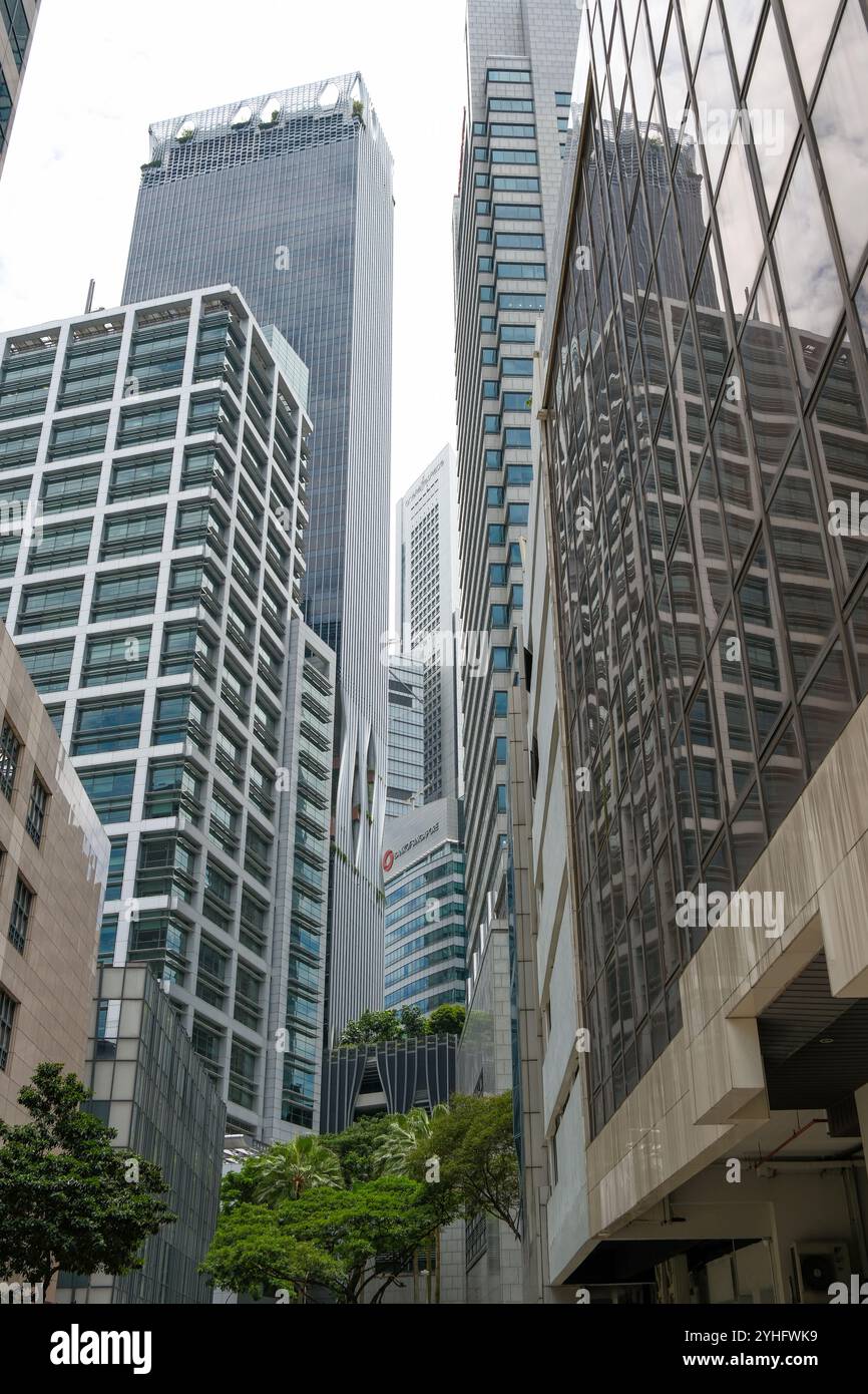 Bank of Singapore office building shot on a wide-angle lens framed by ...