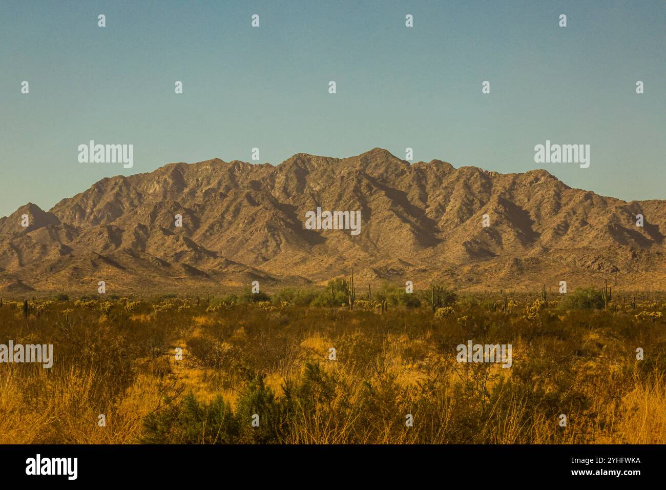 Sonoran Desert, El Pinacate Biosphere Reserve and the Great Altar ...