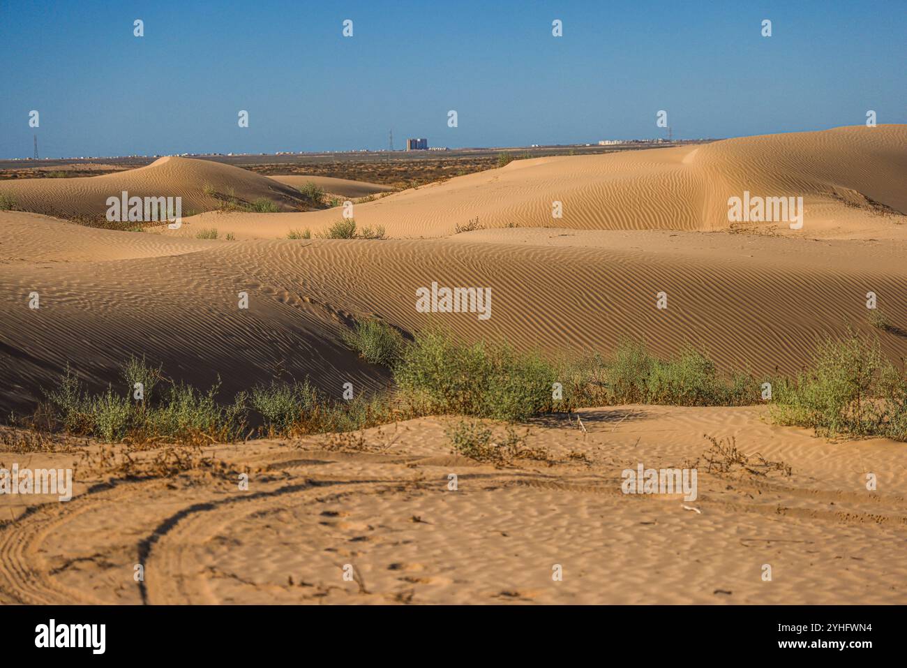 Sonoran Desert, El Pinacate Biosphere Reserve and the Great Altar ...