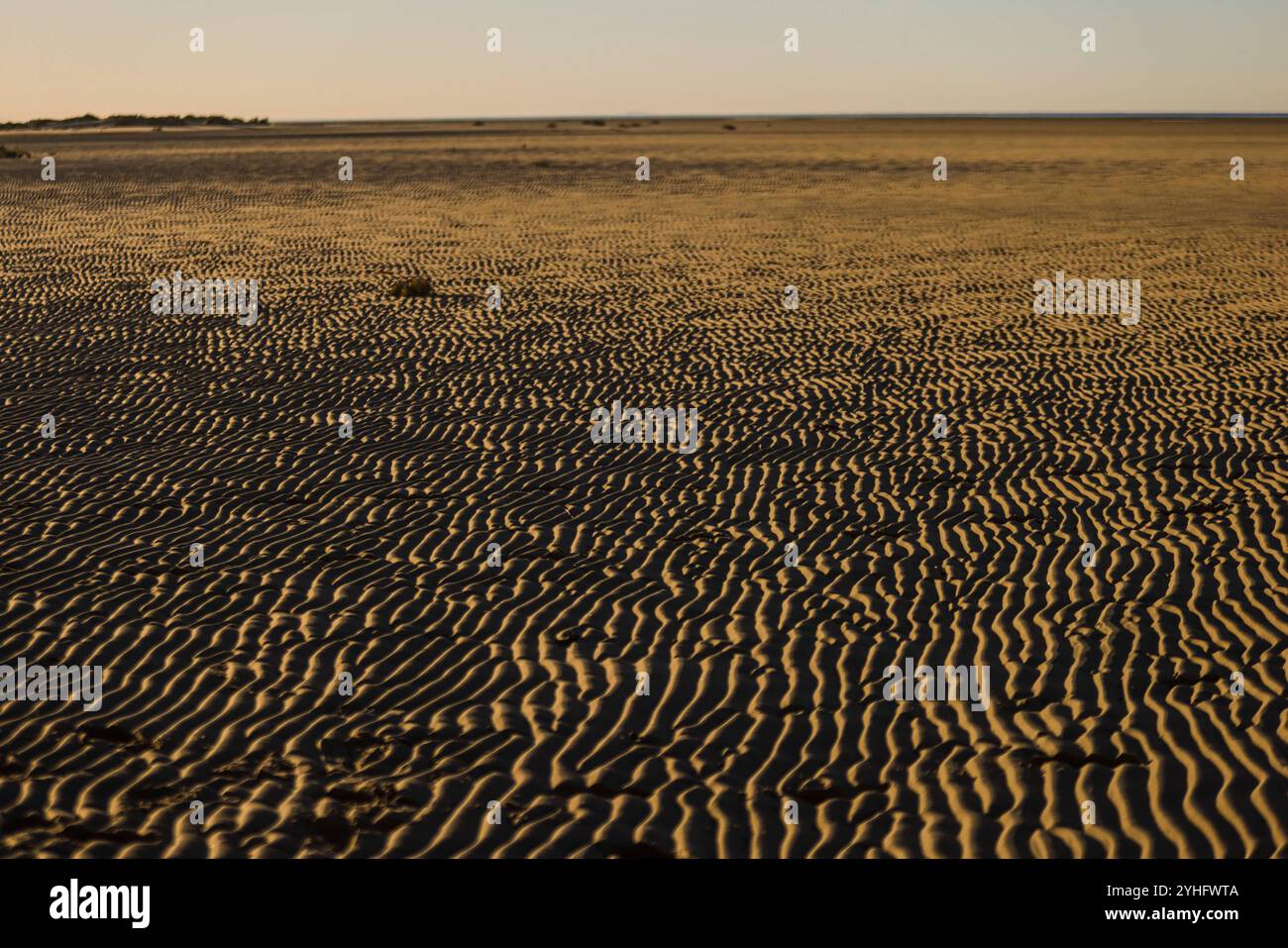 Sonoran Desert, El Pinacate Biosphere Reserve and the Great Altar ...