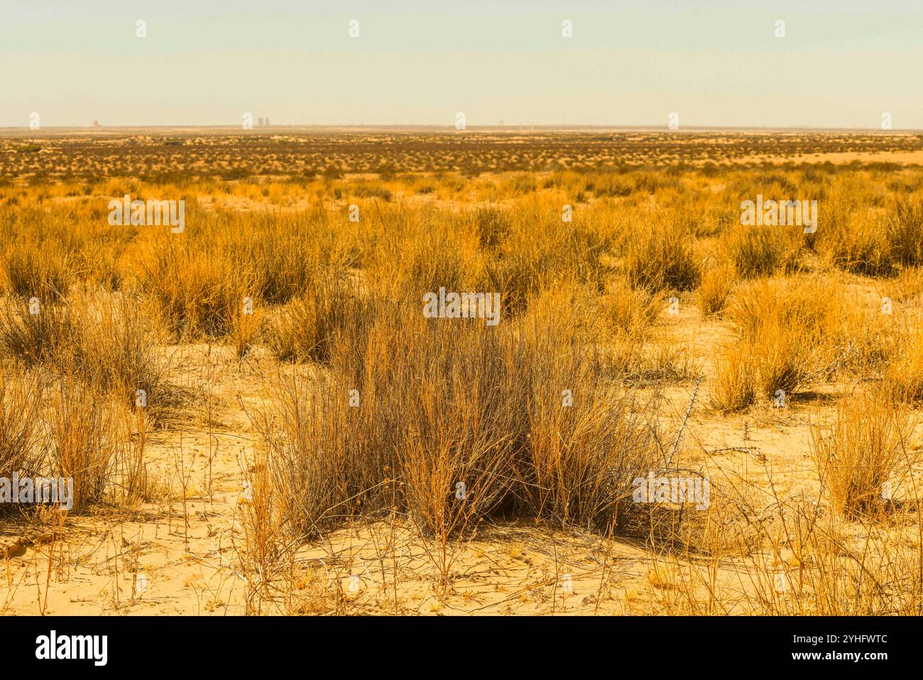 Sonoran Desert, El Pinacate Biosphere Reserve and the Great Altar ...
