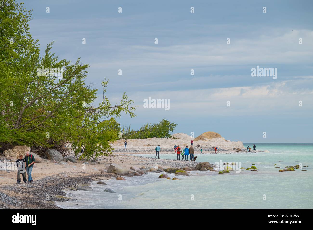 Mon Denmark - May 29. 2024: tourists enjoying the nature of Mons Klint ...