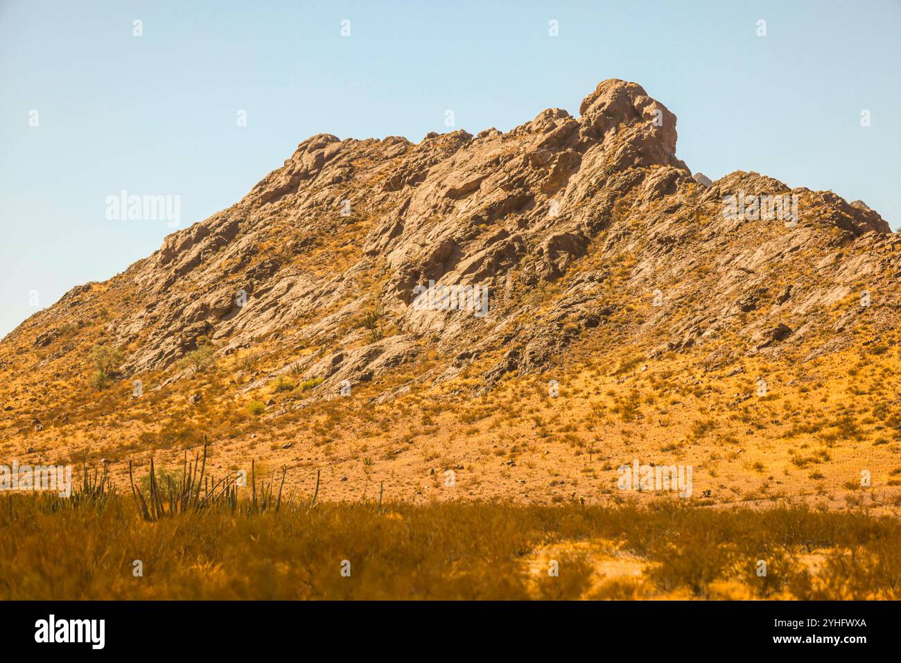 Sonoran Desert, El Pinacate Biosphere Reserve and the Great Altar ...