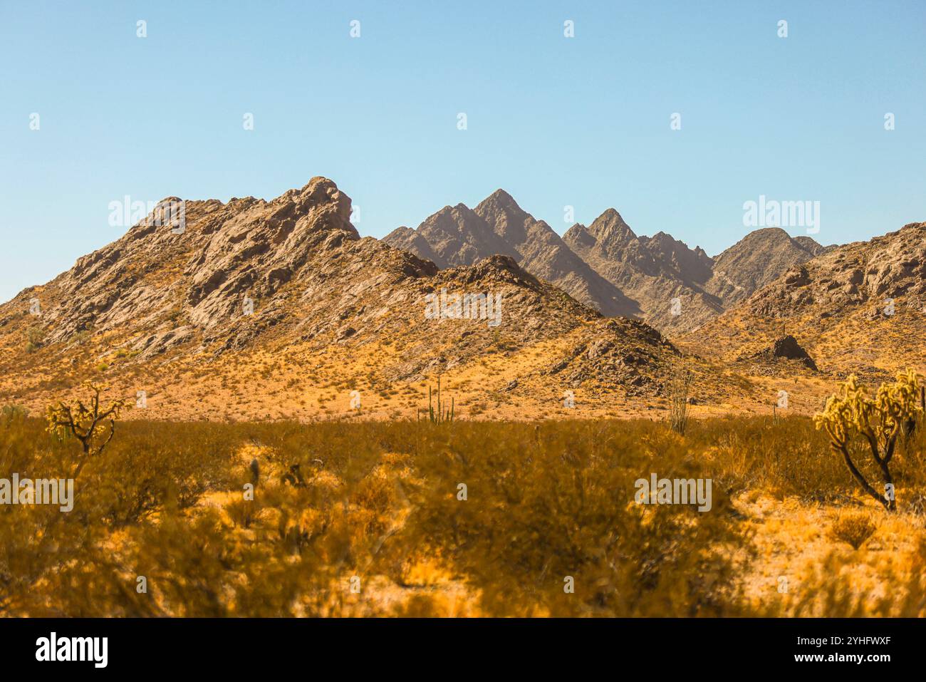 Sonoran Desert, El Pinacate Biosphere Reserve and the Great Altar ...