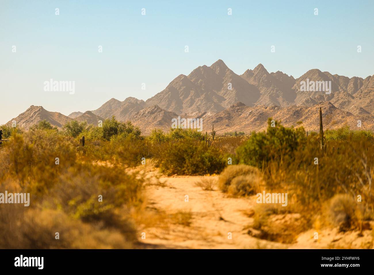 Sonoran Desert, El Pinacate Biosphere Reserve and the Great Altar ...