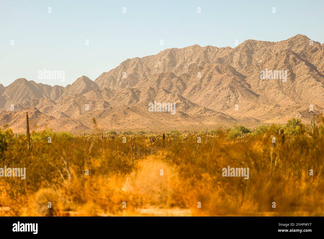 Sonoran Desert, El Pinacate Biosphere Reserve and the Great Altar ...