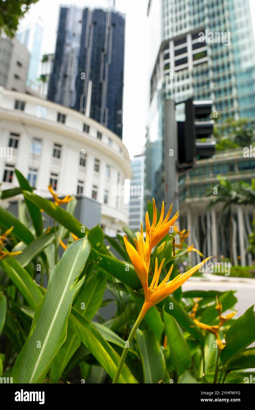 In the heart of Singapore central business district the high-rise ...