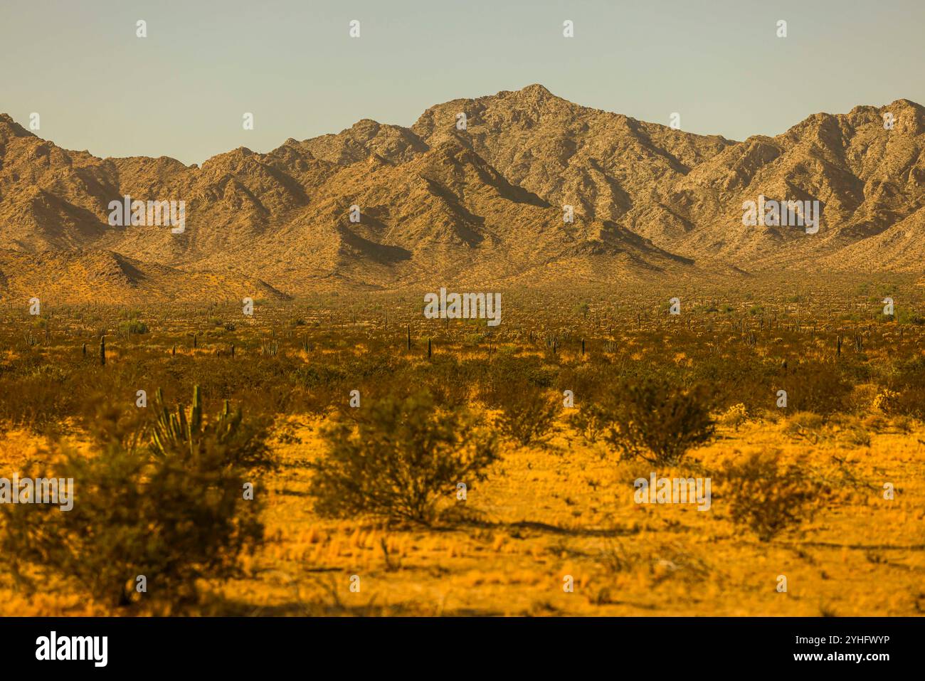 Sonoran Desert, El Pinacate Biosphere Reserve and the Great Altar ...