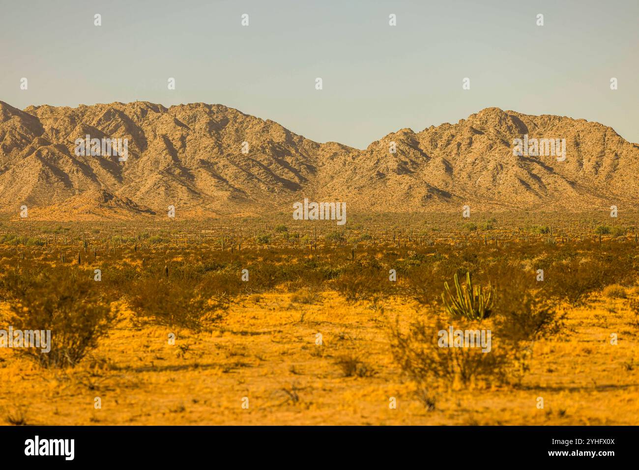 Sonoran Desert, El Pinacate Biosphere Reserve and the Great Altar ...