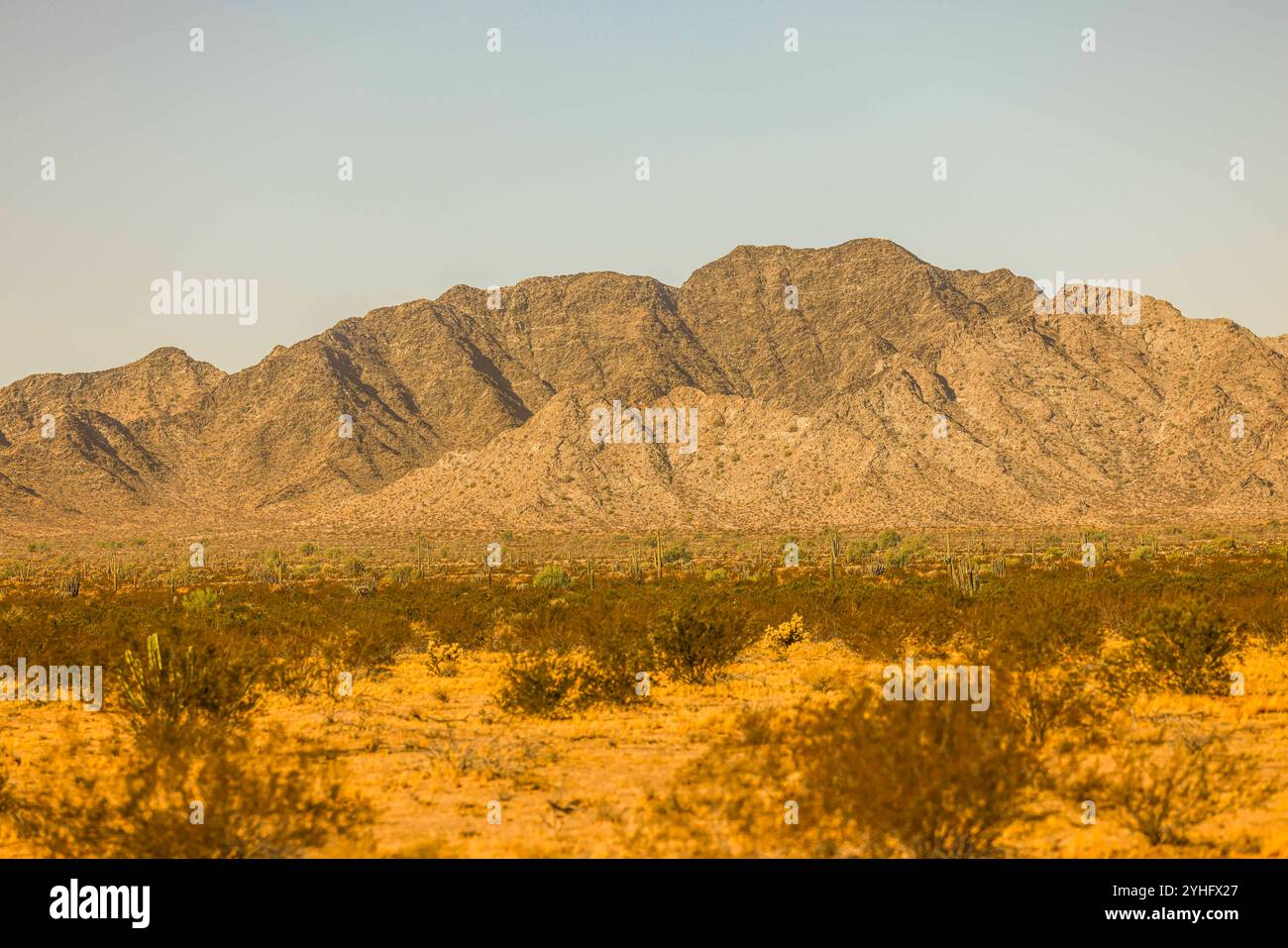Sonoran Desert, El Pinacate Biosphere Reserve and the Great Altar ...