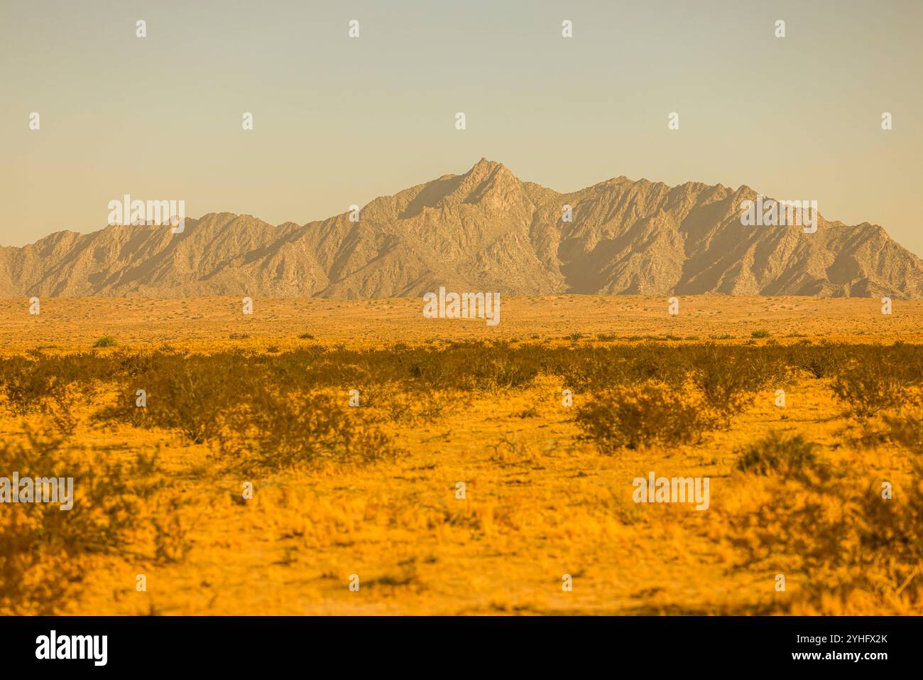 Sonoran Desert, El Pinacate Biosphere Reserve and the Great Altar ...