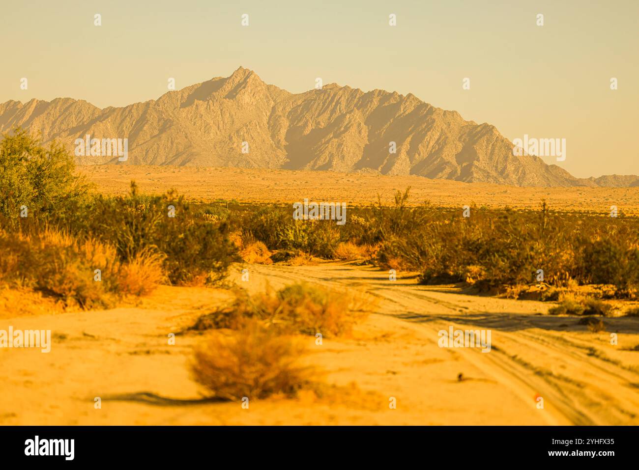 Sonoran Desert, El Pinacate Biosphere Reserve and the Great Altar ...