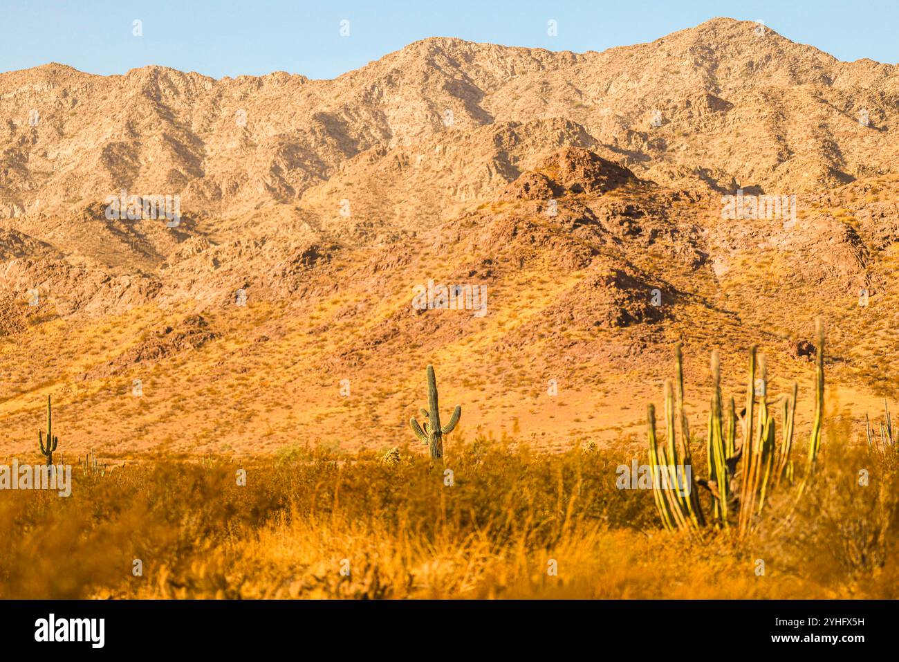 Sonoran Desert, El Pinacate Biosphere Reserve and the Great Altar ...